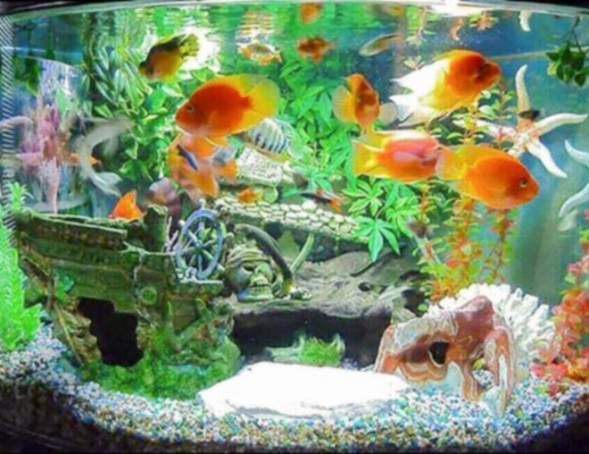 Additional Tank Picture Photos Sorted By Publish Time
